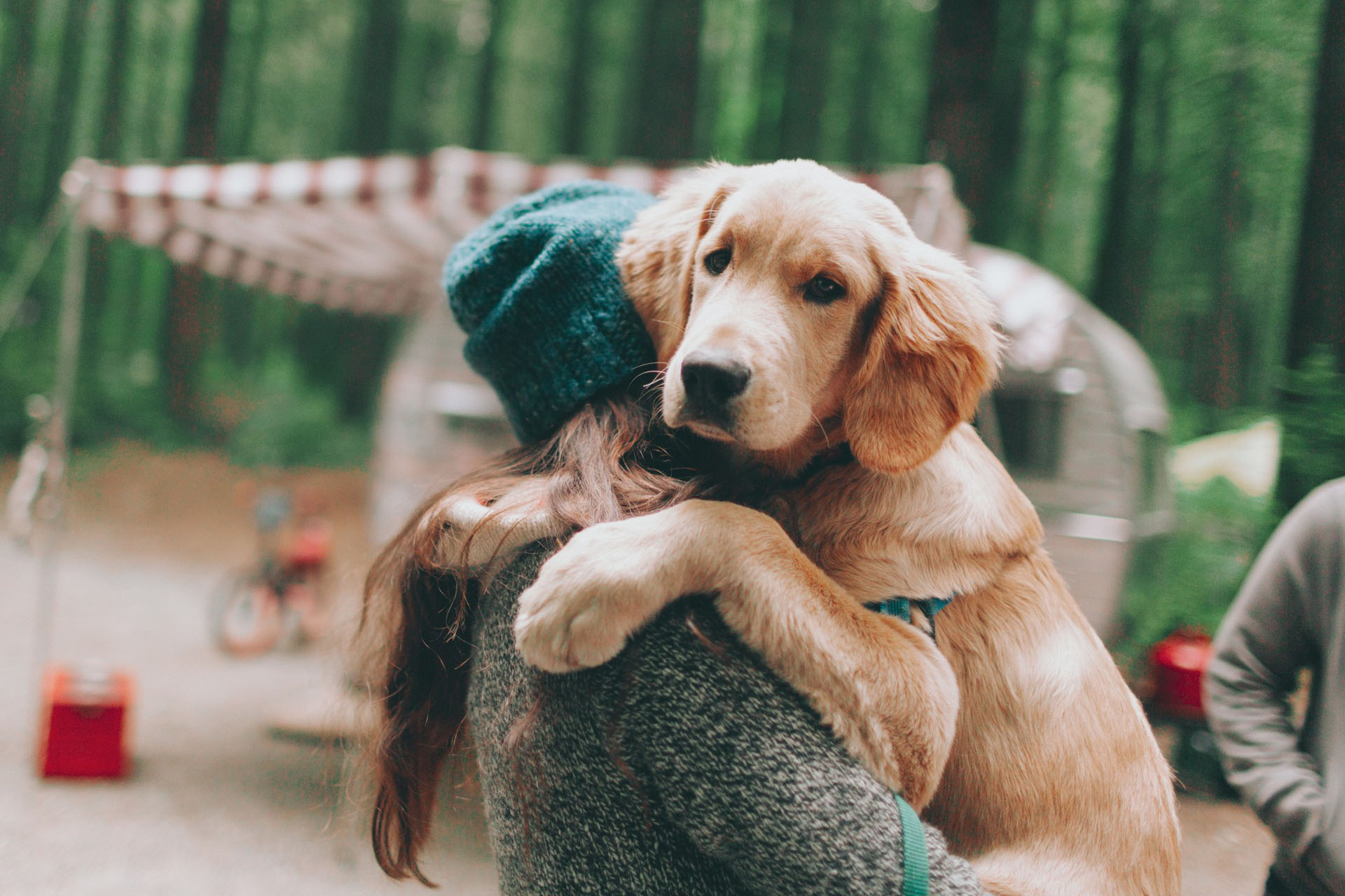 Photographer snaps gorgeous photos out in nature - Gosmalltalk.nl